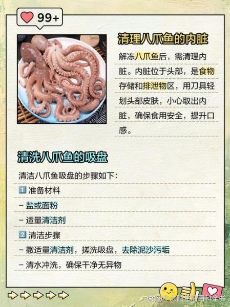 迷你八爪鱼怎么清洗_迷你八爪鱼清洗技巧-第1张图片-山城妙识 迷你八爪鱼怎么清洗_迷你八爪鱼清洗技巧-第1张图片-山城妙识