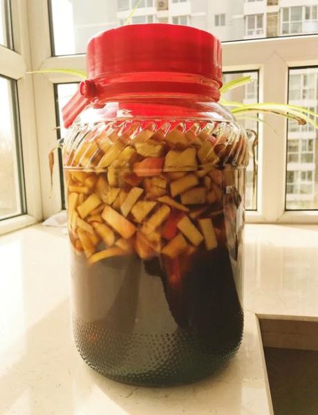 自制水果酵素好吗_自制水果酵素安全吗-第1张图片-山城妙识 自制水果酵素好吗_自制水果酵素安全吗-第1张图片-山城妙识