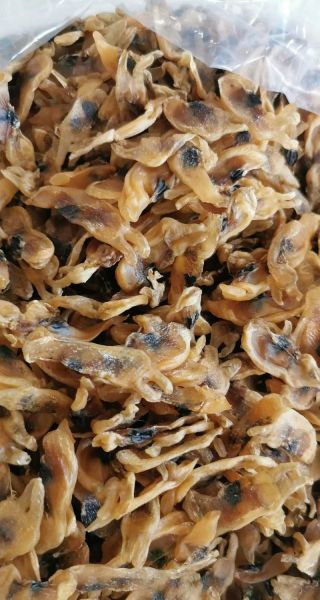 蛏子干的营养价值_蛏子干的功效与作用-第1张图片-山城妙识 蛏子干的营养价值_蛏子干的功效与作用-第1张图片-山城妙识