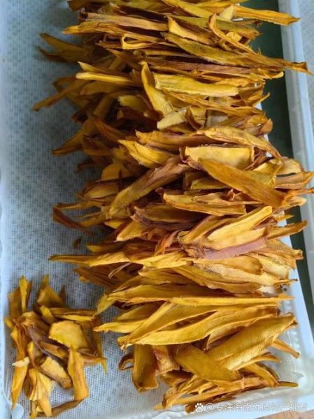 吃不完的芒果怎么加工_芒果干做法-第1张图片-山城妙识 吃不完的芒果怎么加工_芒果干做法-第1张图片-山城妙识