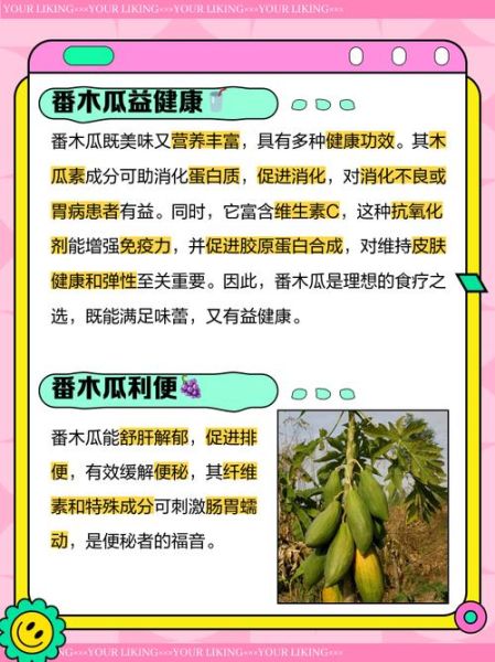 番木瓜怎么挑选_番木瓜的功效与作用-第1张图片-山城妙识 番木瓜怎么挑选_番木瓜的功效与作用-第1张图片-山城妙识