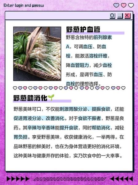 野葱能吃吗_野葱怎么吃安全-第2张图片-山城妙识 野葱能吃吗_野葱怎么吃安全-第2张图片-山城妙识