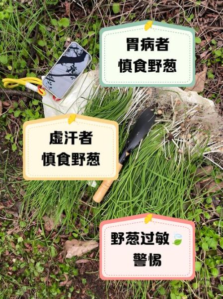 野葱能吃吗_野葱怎么吃安全-第3张图片-山城妙识 野葱能吃吗_野葱怎么吃安全-第3张图片-山城妙识