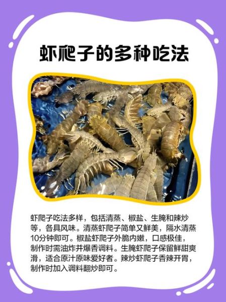 虾爬子不能和什么一起吃_虾爬子食用禁忌-第3张图片-山城妙识 虾爬子不能和什么一起吃_虾爬子食用禁忌-第3张图片-山城妙识
