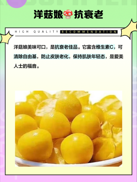 洋姑娘的营养价值与功效_洋姑娘怎么吃最营养-第2张图片-山城妙识 洋姑娘的营养价值与功效_洋姑娘怎么吃最营养-第2张图片-山城妙识