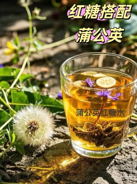 蒲公英泡水喝有什么功效_蒲公英泡水喝的8种搭配-第1张图片-山城妙识