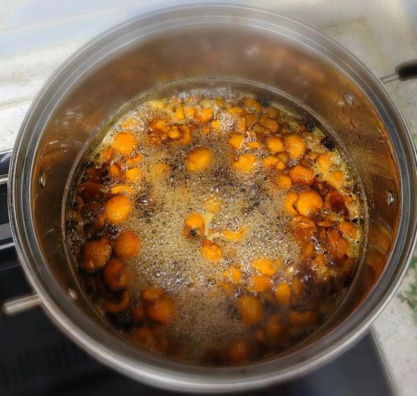 自制川贝枇杷膏比例_川贝枇杷膏怎么做-第3张图片-山城妙识 自制川贝枇杷膏比例_川贝枇杷膏怎么做-第3张图片-山城妙识