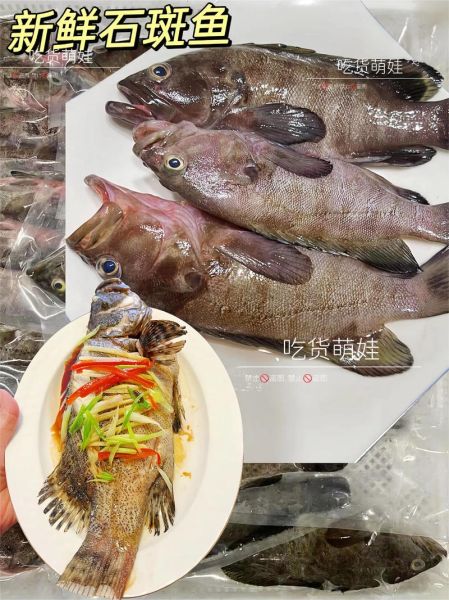 红烧石斑鱼怎么做_红烧石斑鱼的家常做法-第1张图片-山城妙识 红烧石斑鱼怎么做_红烧石斑鱼的家常做法-第1张图片-山城妙识