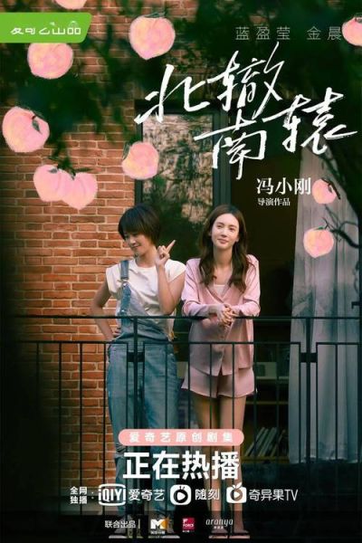 北辙南辕电视剧在线观看_北辙南辕全集哪里能看-第3张图片-山城妙识