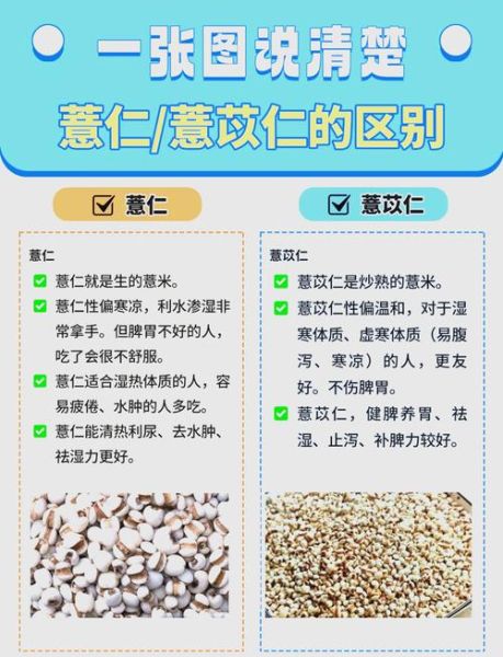 薏苡仁和薏米的区别_薏苡仁是不是薏米-第1张图片-山城妙识