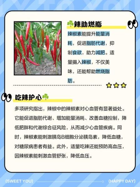 大辣椒的功效与作用_吃辣椒能减肥吗-第3张图片-山城妙识 大辣椒的功效与作用_吃辣椒能减肥吗-第3张图片-山城妙识