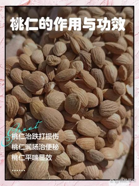 桃仁的功效与作用禁忌_桃仁一天吃多少克合适-第3张图片-山城妙识 桃仁的功效与作用禁忌_桃仁一天吃多少克合适-第3张图片-山城妙识