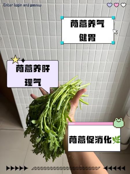 皇帝菜的功效与作用_皇帝菜怎么吃最营养-第3张图片-山城妙识 皇帝菜的功效与作用_皇帝菜怎么吃最营养-第3张图片-山城妙识