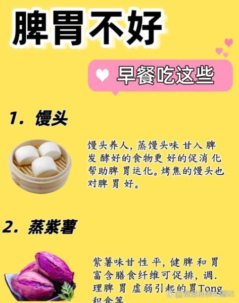 养胃食品排行榜_胃不好吃什么养胃-第1张图片-山城妙识 养胃食品排行榜_胃不好吃什么养胃-第1张图片-山城妙识