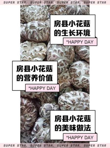 房县小花菇怎么泡发_房县小花菇炖汤做法-第1张图片-山城妙识 房县小花菇怎么泡发_房县小花菇炖汤做法-第1张图片-山城妙识