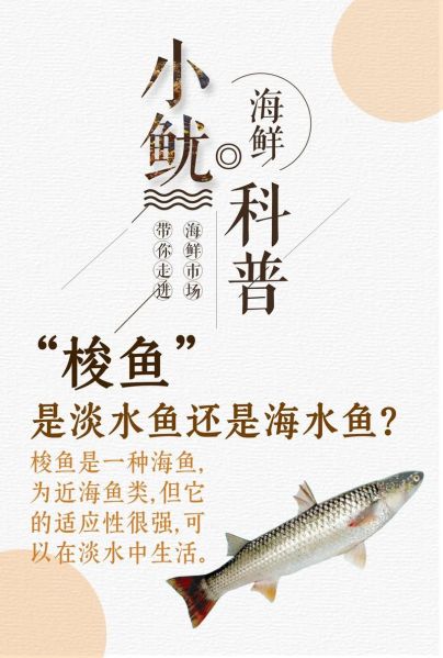 吃梭鱼的禁忌_哪些人不能吃梭鱼-第3张图片-山城妙识