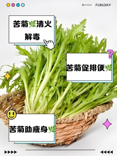 生吃苦菊有什么好处_苦菊生吃能减肥吗-第2张图片-山城妙识 生吃苦菊有什么好处_苦菊生吃能减肥吗-第2张图片-山城妙识