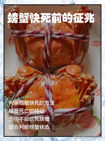 螃蟹死了怎么处理_死了的螃蟹还能吃吗-第3张图片-山城妙识 螃蟹死了怎么处理_死了的螃蟹还能吃吗-第3张图片-山城妙识