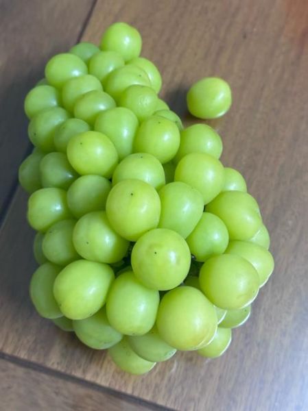 青提子热量是多少_减肥能吃吗-第1张图片-山城妙识 青提子热量是多少_减肥能吃吗-第1张图片-山城妙识