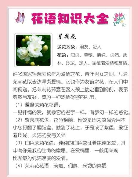 送女朋友什么花合适_鲜花花语大全-第2张图片-山城妙识 送女朋友什么花合适_鲜花花语大全-第2张图片-山城妙识