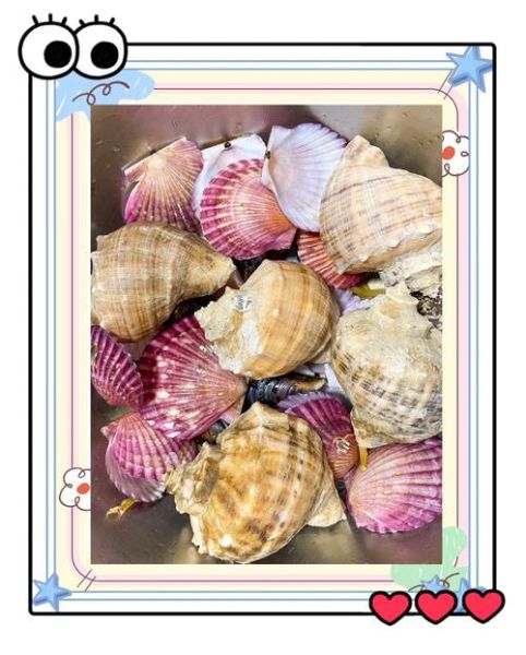 水煮大海螺怎么做好吃_水煮大海螺做法大全-第1张图片-山城妙识 水煮大海螺怎么做好吃_水煮大海螺做法大全-第1张图片-山城妙识