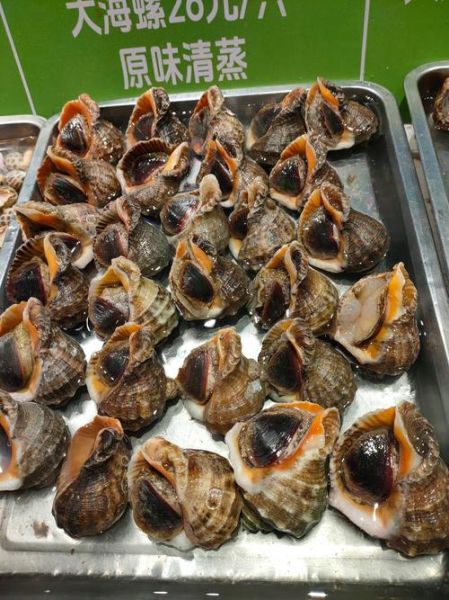 水煮大海螺怎么做好吃_水煮大海螺做法大全-第3张图片-山城妙识 水煮大海螺怎么做好吃_水煮大海螺做法大全-第3张图片-山城妙识