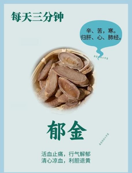 郁金的功效与作用是什么_郁金能治疗哪些疾病-第1张图片-山城妙识 郁金的功效与作用是什么_郁金能治疗哪些疾病-第1张图片-山城妙识