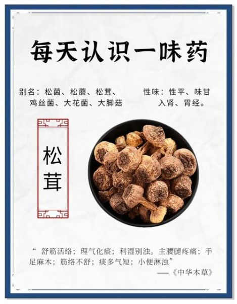 生松茸的功效与作用_生松茸怎么吃最好-第1张图片-山城妙识 生松茸的功效与作用_生松茸怎么吃最好-第1张图片-山城妙识