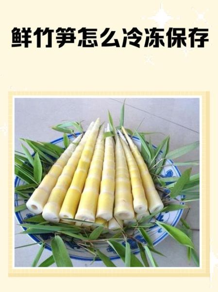 竹笋冷冻保存要焯水吗_焯水后冷冻能放多久-第1张图片-山城妙识 竹笋冷冻保存要焯水吗_焯水后冷冻能放多久-第1张图片-山城妙识
