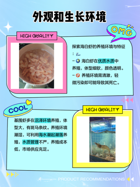 白虾和基围虾的区别_哪个更好吃-第1张图片-山城妙识 白虾和基围虾的区别_哪个更好吃-第1张图片-山城妙识