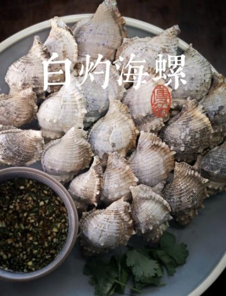 清蒸海螺怎么蒸_清蒸海螺蒸多久才熟-第2张图片-山城妙识 清蒸海螺怎么蒸_清蒸海螺蒸多久才熟-第2张图片-山城妙识