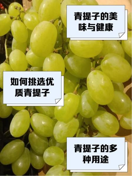 青提子的功效与作用及禁忌_哪些人不能吃-第2张图片-山城妙识