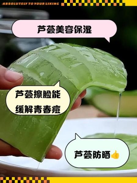 用芦荟擦脸的正确方法_芦荟直接涂脸会不会过敏-第1张图片-山城妙识