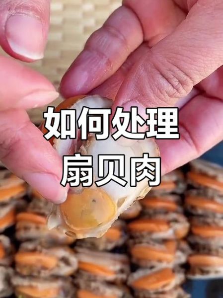 扇贝肉怎么做好吃_扇贝肉怎么清洗-第1张图片-山城妙识 扇贝肉怎么做好吃_扇贝肉怎么清洗-第1张图片-山城妙识