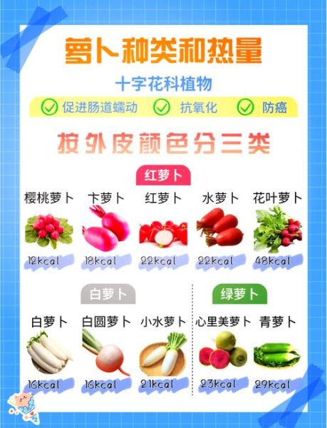 白萝卜怎么吃减肥_白萝卜减肥的正确吃法-第1张图片-山城妙识 白萝卜怎么吃减肥_白萝卜减肥的正确吃法-第1张图片-山城妙识