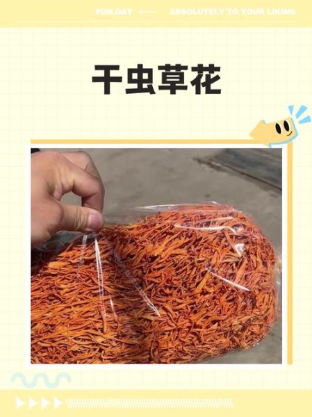 干虫草花怎么吃_干虫草花做法大全-第3张图片-山城妙识 干虫草花怎么吃_干虫草花做法大全-第3张图片-山城妙识