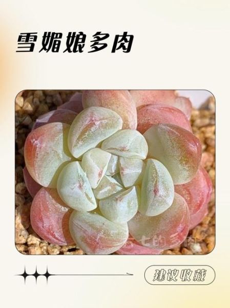 班戟和雪媚娘哪个好吃_区别与选购指南-第2张图片-山城妙识 班戟和雪媚娘哪个好吃_区别与选购指南-第2张图片-山城妙识