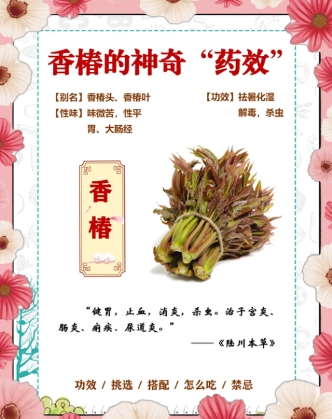 香椿的功效与作用_香椿怎么吃最养生-第2张图片-山城妙识 香椿的功效与作用_香椿怎么吃最养生-第2张图片-山城妙识