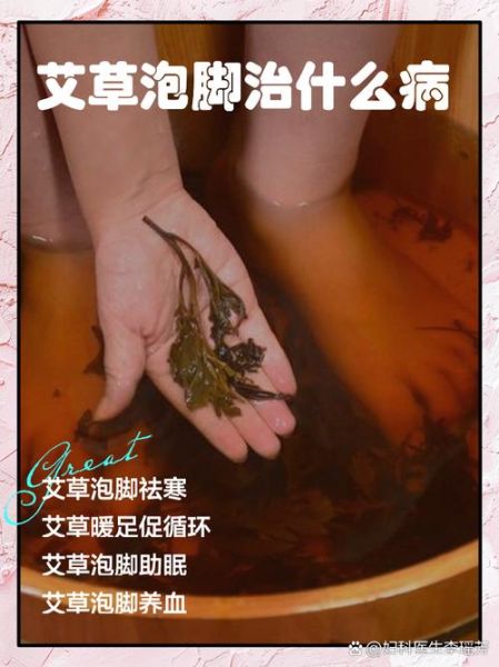 艾叶图片功效与作用_艾叶泡脚的正确方法-第3张图片-山城妙识 艾叶图片功效与作用_艾叶泡脚的正确方法-第3张图片-山城妙识