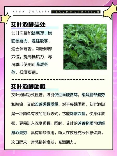 艾叶图片功效与作用_艾叶泡脚的正确方法-第2张图片-山城妙识 艾叶图片功效与作用_艾叶泡脚的正确方法-第2张图片-山城妙识