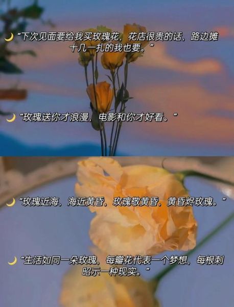 发玫瑰花朋友圈配词怎么写_玫瑰花文案短句高级感-第2张图片-山城妙识 发玫瑰花朋友圈配词怎么写_玫瑰花文案短句高级感-第2张图片-山城妙识