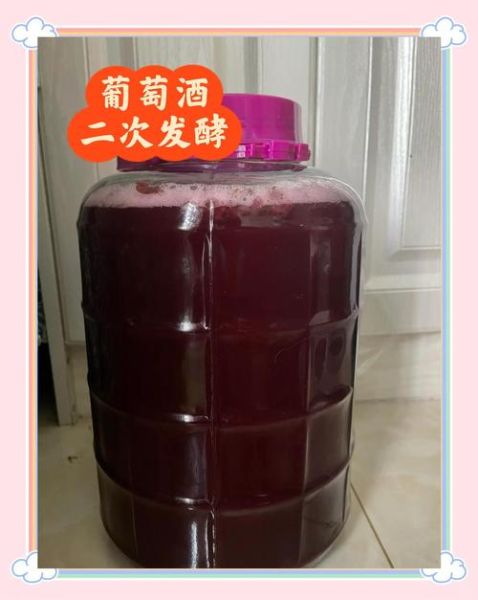 自酿山葡萄酒的制作方法_自酿山葡萄酒多久能喝-第1张图片-山城妙识