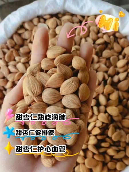 甜杏仁怎么吃最好_甜杏仁的禁忌有哪些-第3张图片-山城妙识 甜杏仁怎么吃最好_甜杏仁的禁忌有哪些-第3张图片-山城妙识