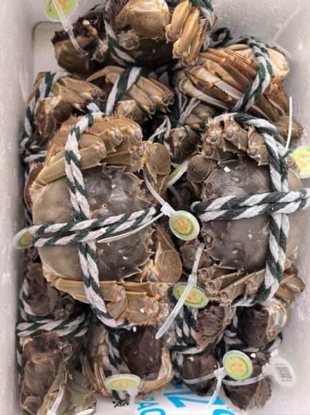 螃蟹蘸料怎么调_螃蟹蘸料配方大全-第3张图片-山城妙识