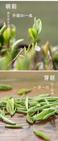 玉竹茶多少钱一斤_玉竹茶价格行情-第3张图片-山城妙识 玉竹茶多少钱一斤_玉竹茶价格行情-第3张图片-山城妙识