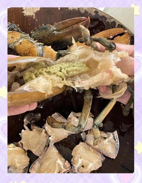 波龙怎么做好吃_波龙多少钱一斤-第1张图片-山城妙识 波龙怎么做好吃_波龙多少钱一斤-第1张图片-山城妙识