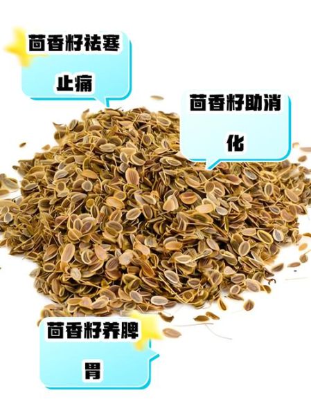 茴香籽怎么吃_茴香籽的做法大全-第1张图片-山城妙识 茴香籽怎么吃_茴香籽的做法大全-第1张图片-山城妙识