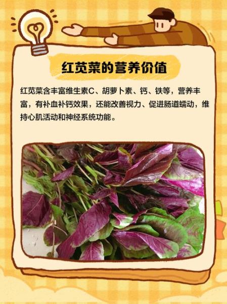苋菜红是食品添加剂吗_对人体有害吗-第3张图片-山城妙识 苋菜红是食品添加剂吗_对人体有害吗-第3张图片-山城妙识