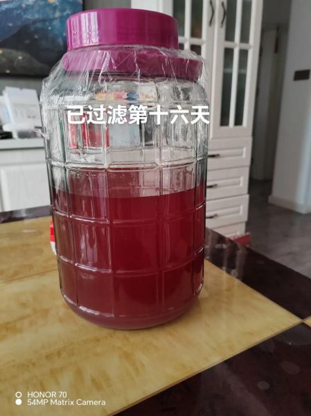 自酿葡萄酒怎么做_葡萄酒发酵需要几天-第3张图片-山城妙识 自酿葡萄酒怎么做_葡萄酒发酵需要几天-第3张图片-山城妙识