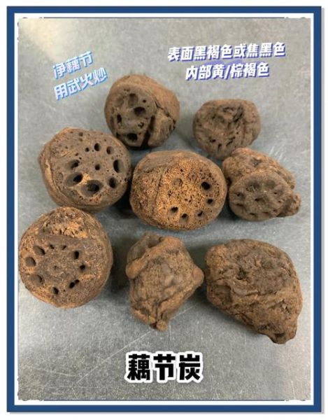 藕节炭的功效与作用_藕节炭怎么使用-第2张图片-山城妙识